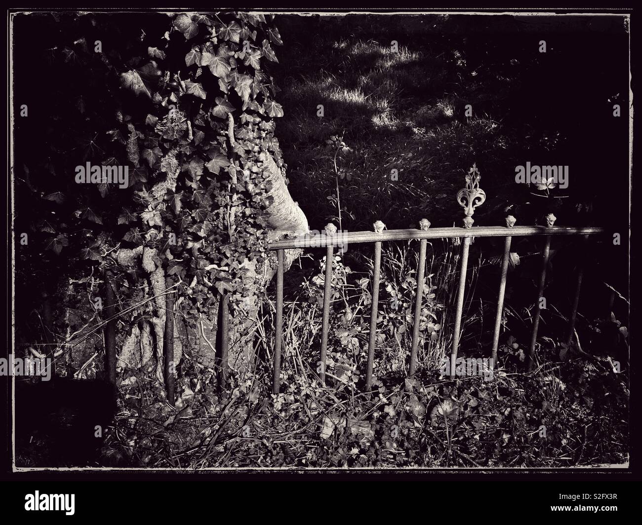 Spooky metal railings Stock Photo - Alamy