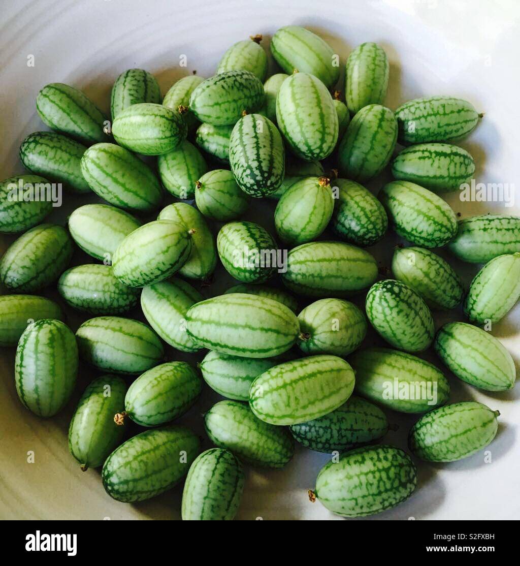 Cucamelons hi-res stock photography and images - Alamy