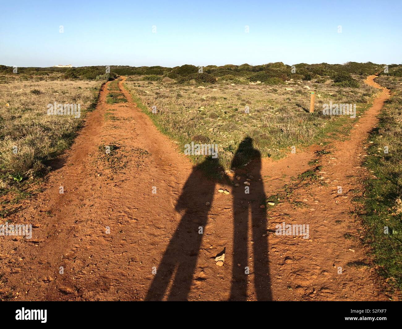 Two people deciding which path to take Stock Photo - Alamy