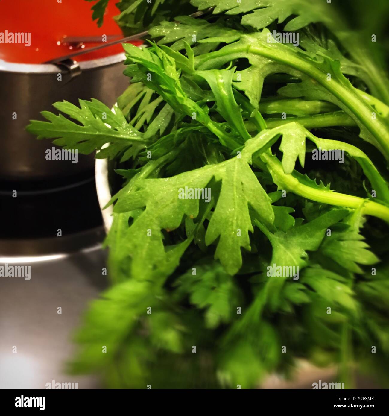 The Chinese vegetable and the tomato hot pot Stock Photo - Alamy