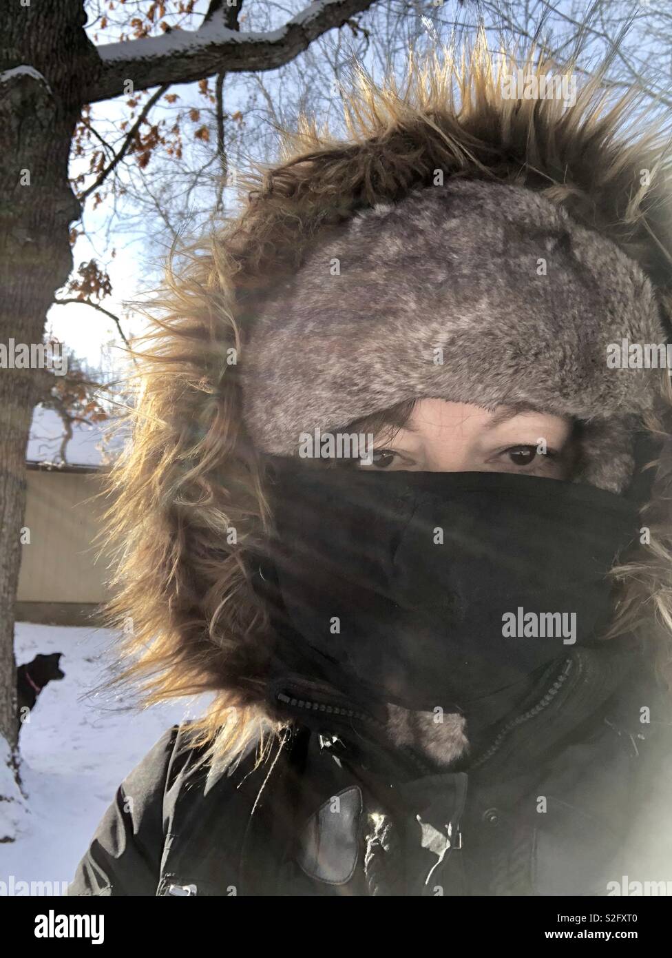 Subzero weather hi-res stock photography and images - Alamy