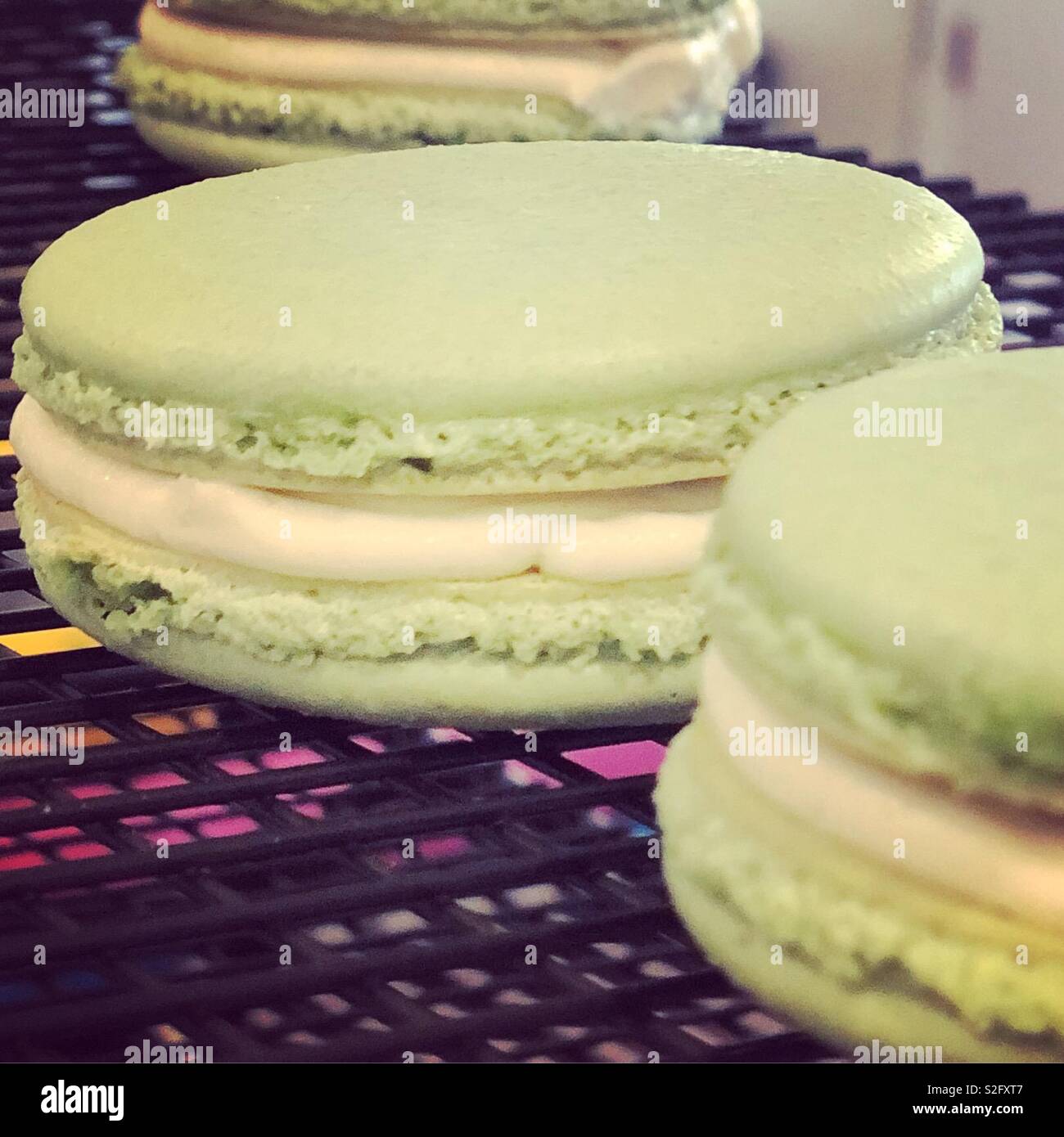 Matcha green tea macarons with vanilla buttercream Stock Photo - Alamy