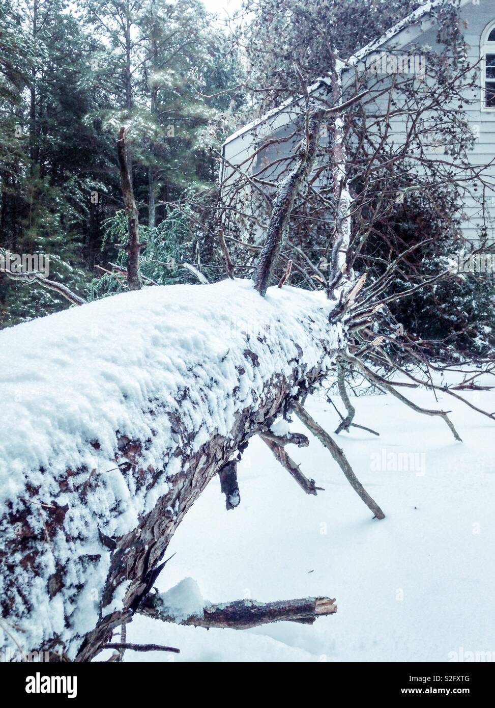 Powdery fallen snow hi-res stock photography and images - Alamy