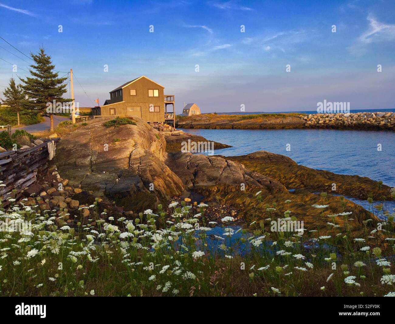 Seaside wildflowers hi-res stock photography and images - Alamy