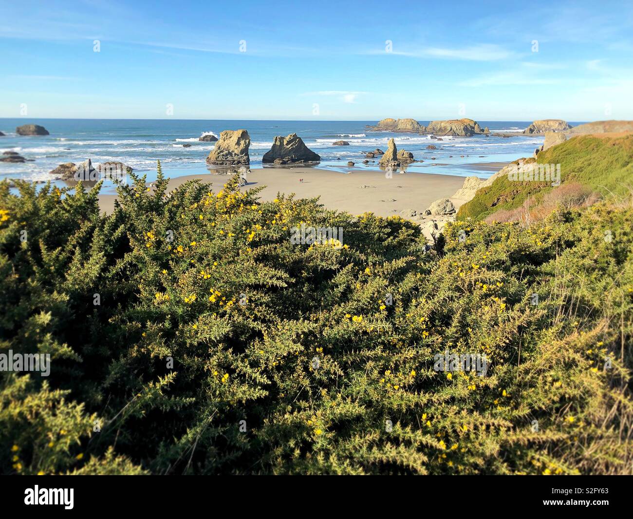View from above of Face Rock beach in Bandon, Oregon, USA Stock Photo ...