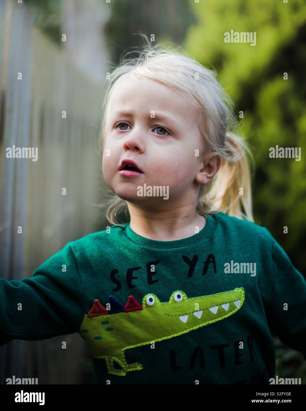 Wandering hi-res stock photography and images - Alamy