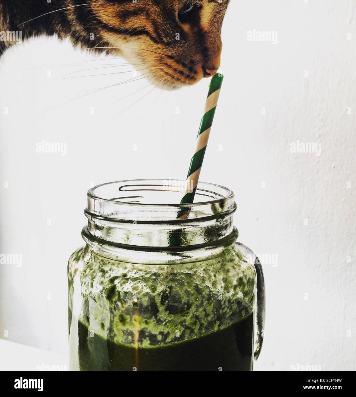 Straw cat hi-res stock photography and images - Alamy