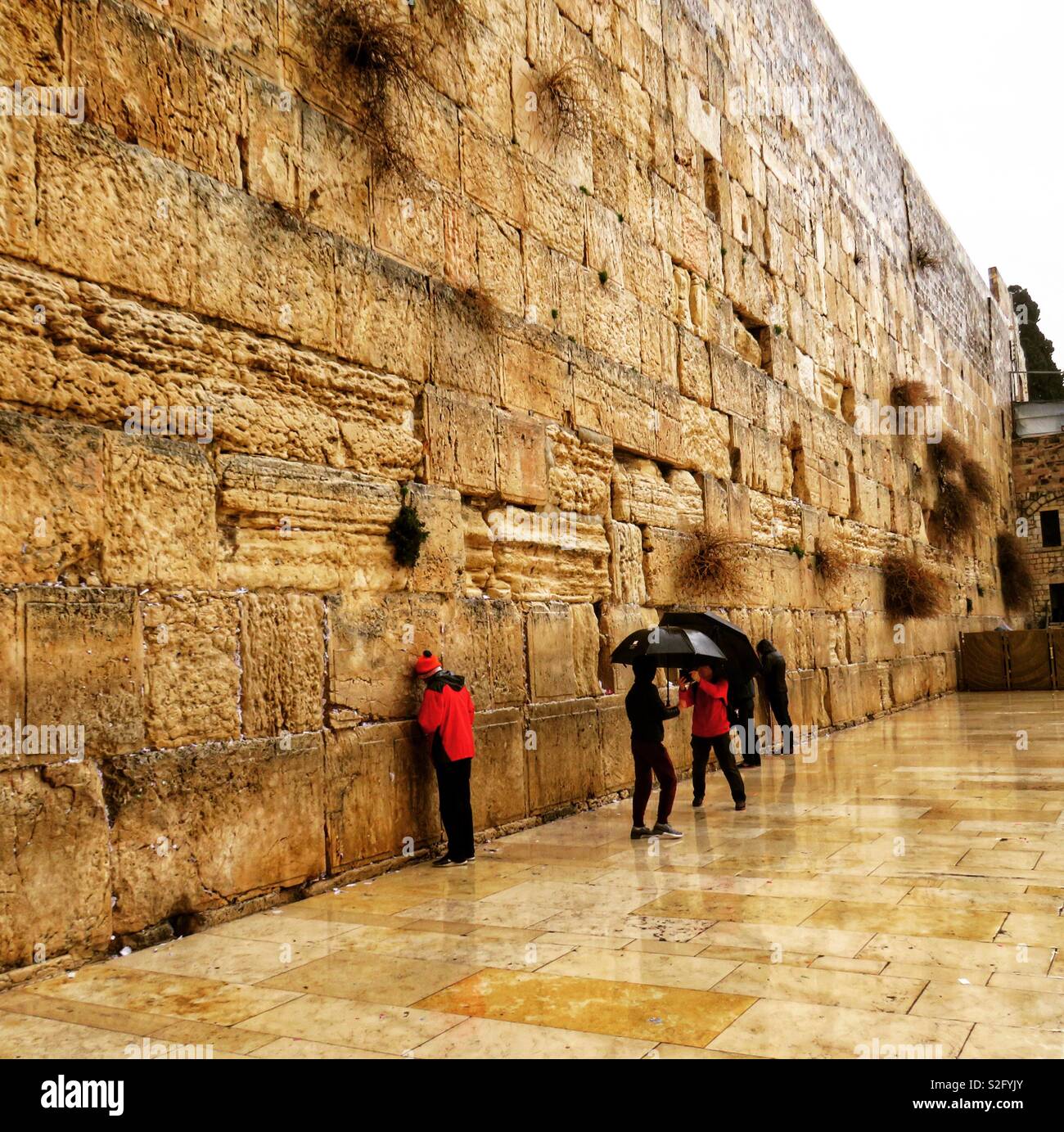 Praying in the rain at the western wall Stock Photo - Alamy