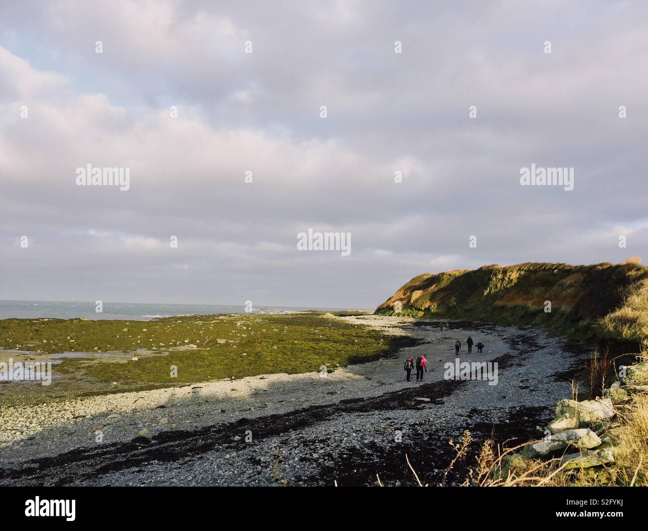 Coast near Cemlyn Bay, Anglesey, North Wales, shingle beach Stock Photo ...