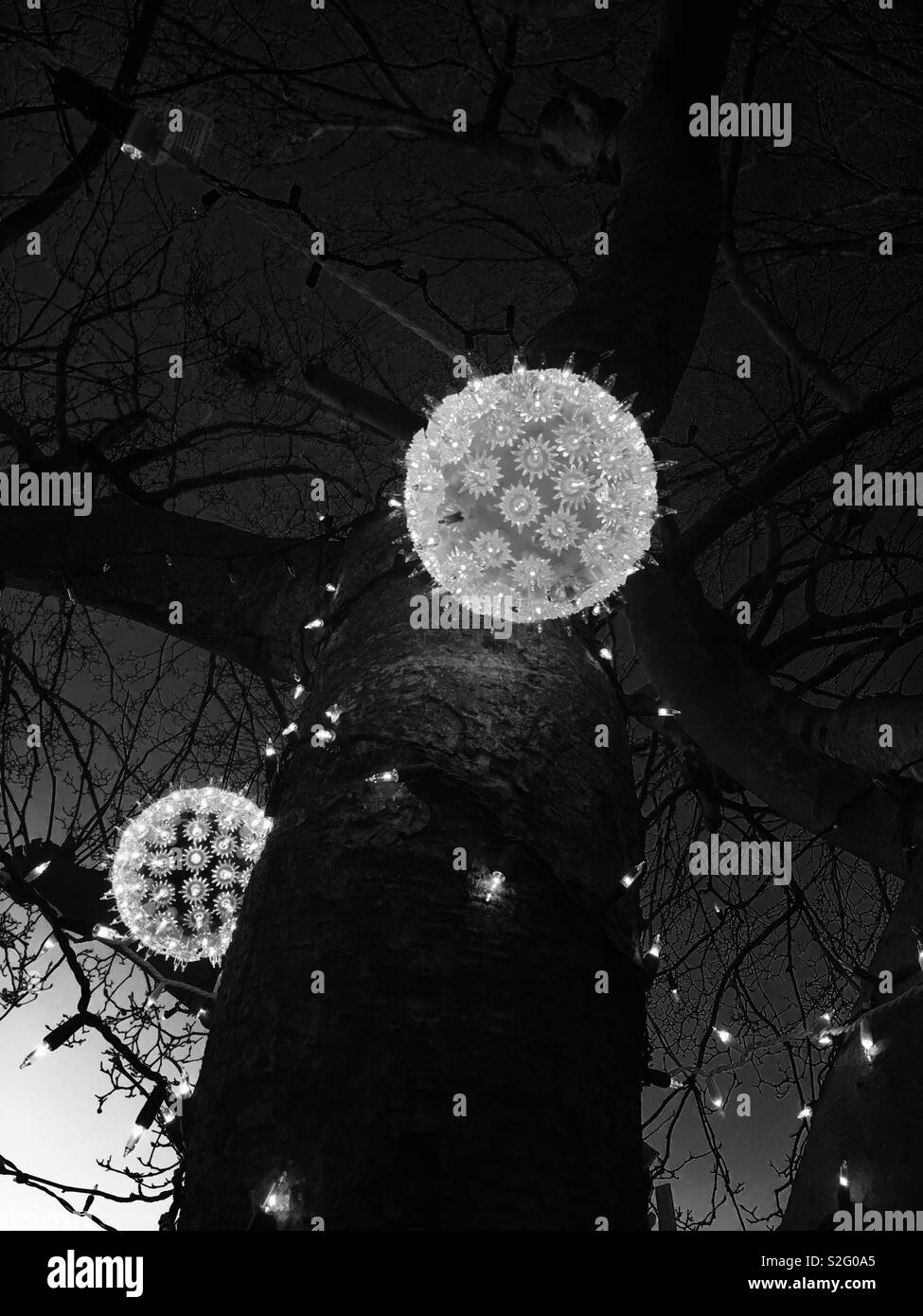 White lights tree hi-res stock photography and images - Alamy