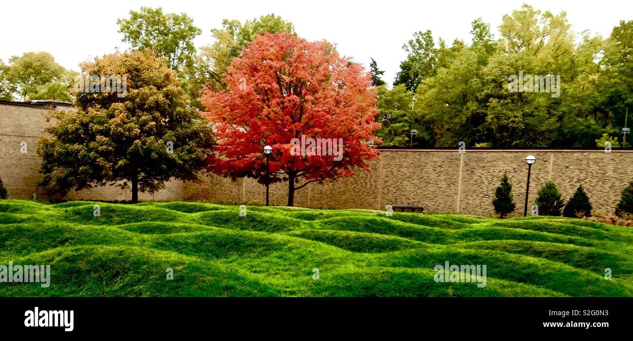 Maya lin field in fall hi-res stock photography and images - Alamy
