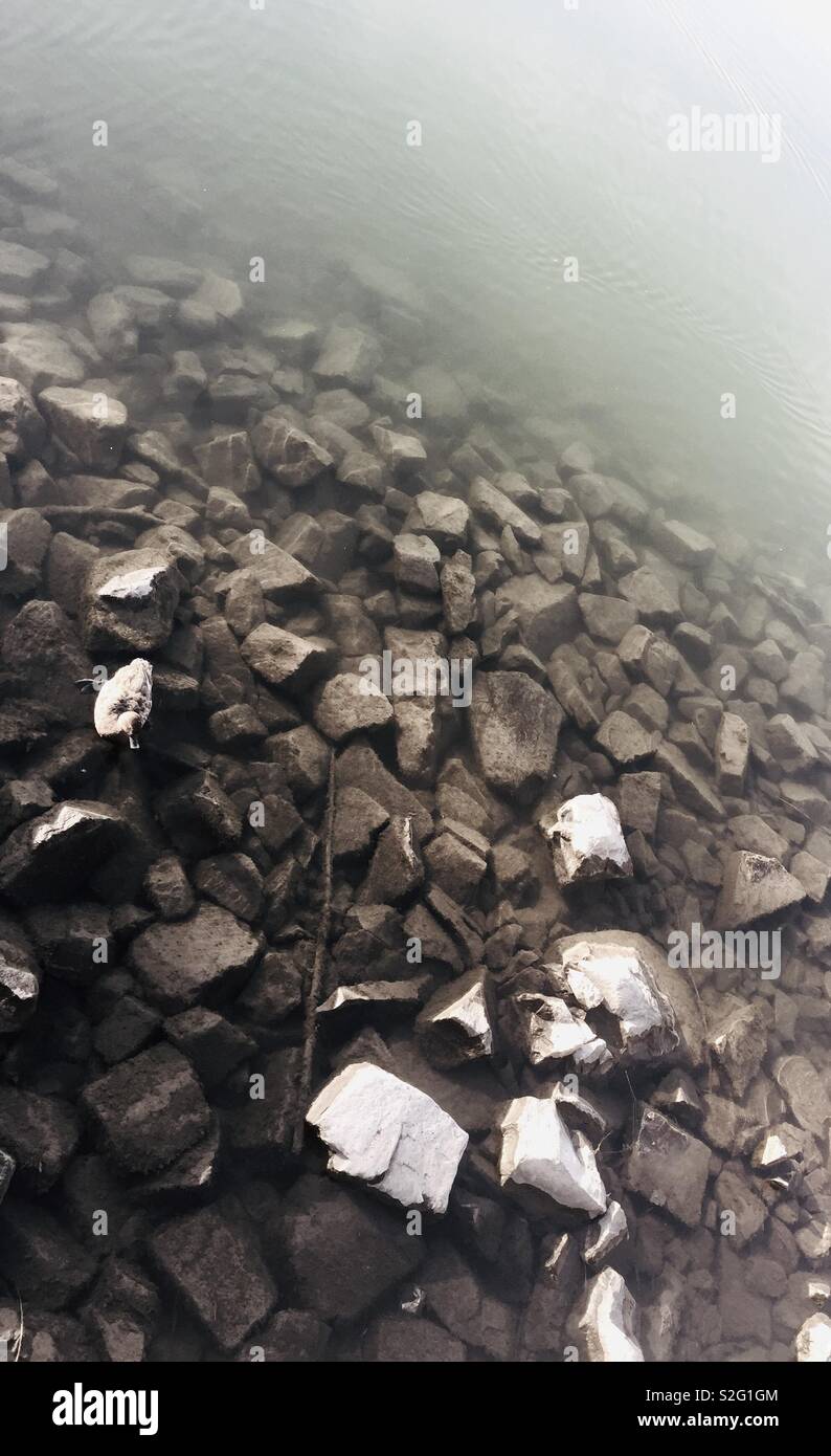 They descend hi-res stock photography and images - Alamy