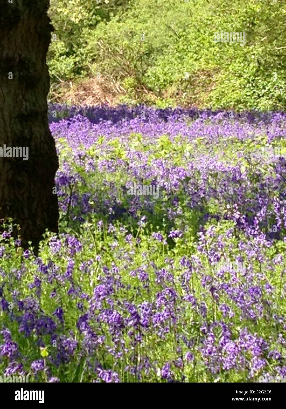 Mindfulness bells hi-res stock photography and images - Alamy