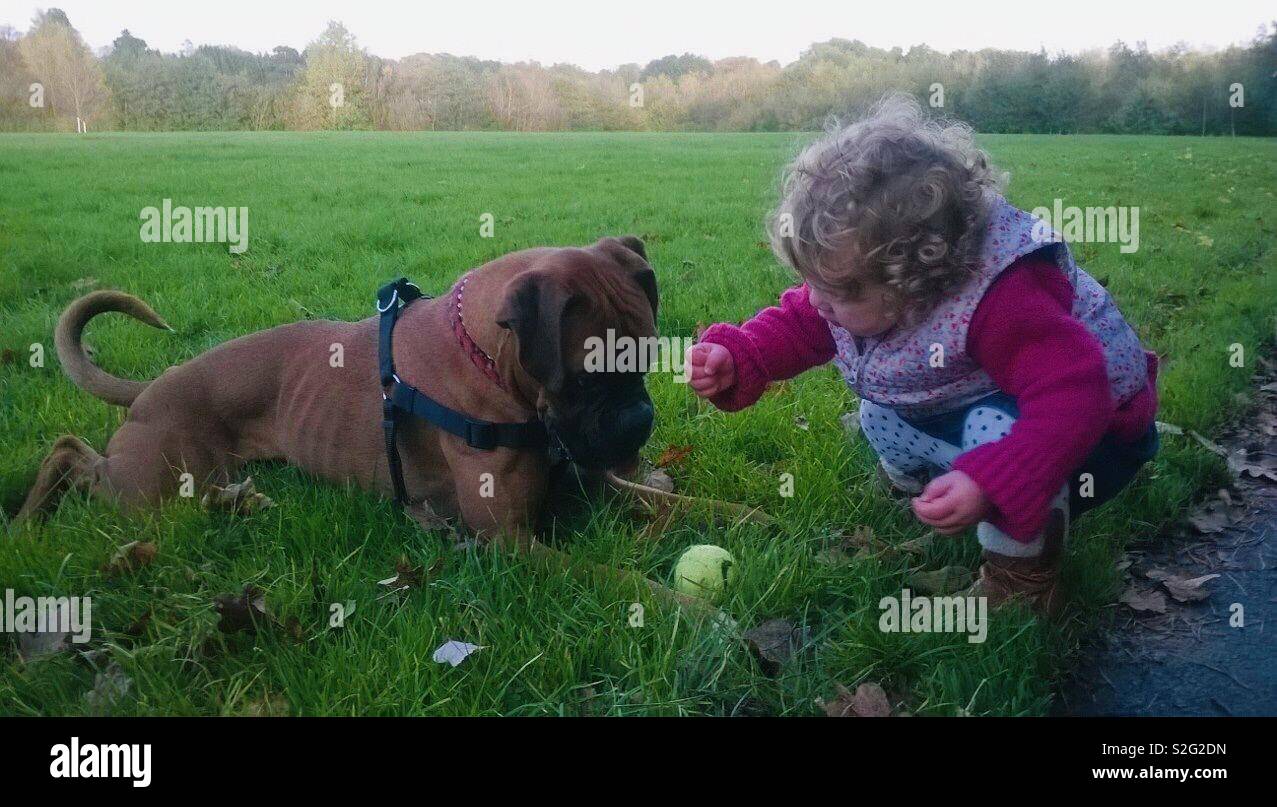 Girl play fetch with dog hi-res stock photography and images - Alamy