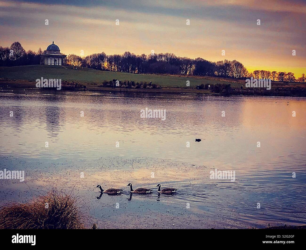 Hardwick park durham hi-res stock photography and images - Alamy