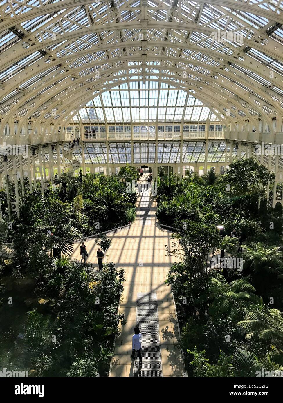 Kew gardens plants hi-res stock photography and images - Alamy