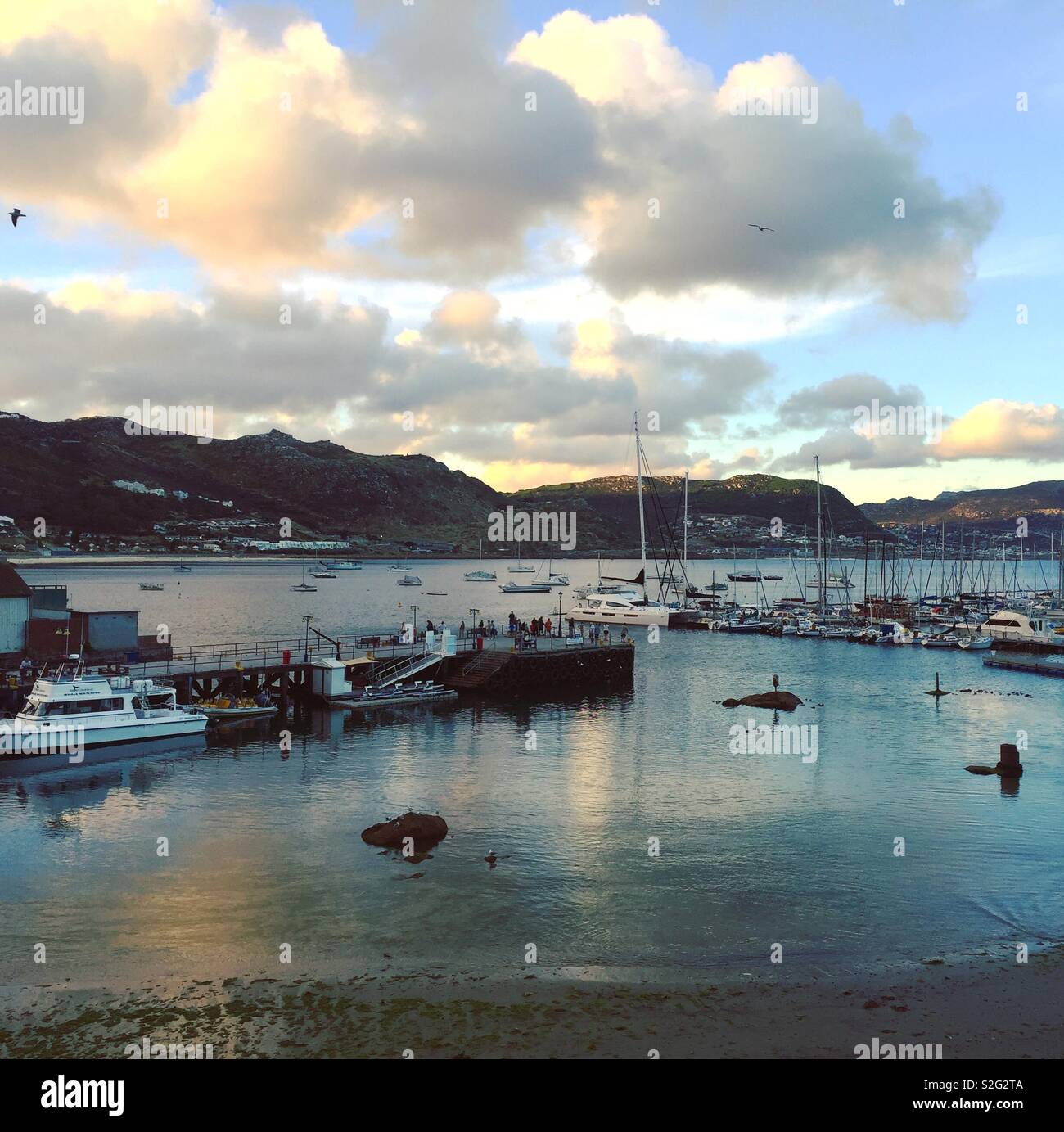 Harbor views hi-res stock photography and images - Alamy