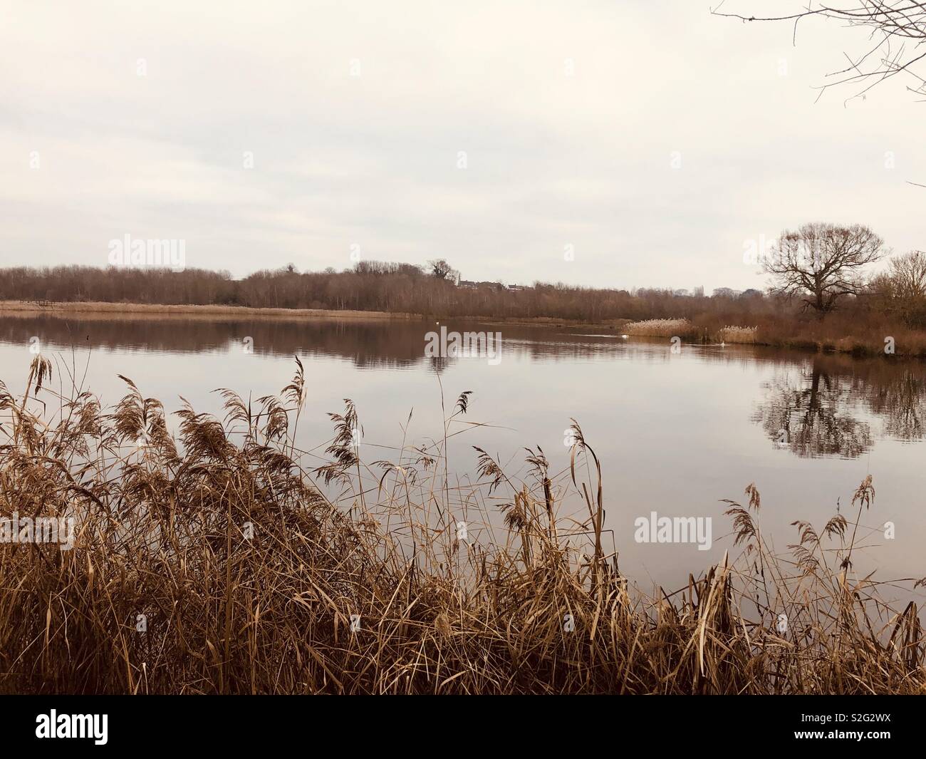 From stanwick hi-res stock photography and images - Alamy