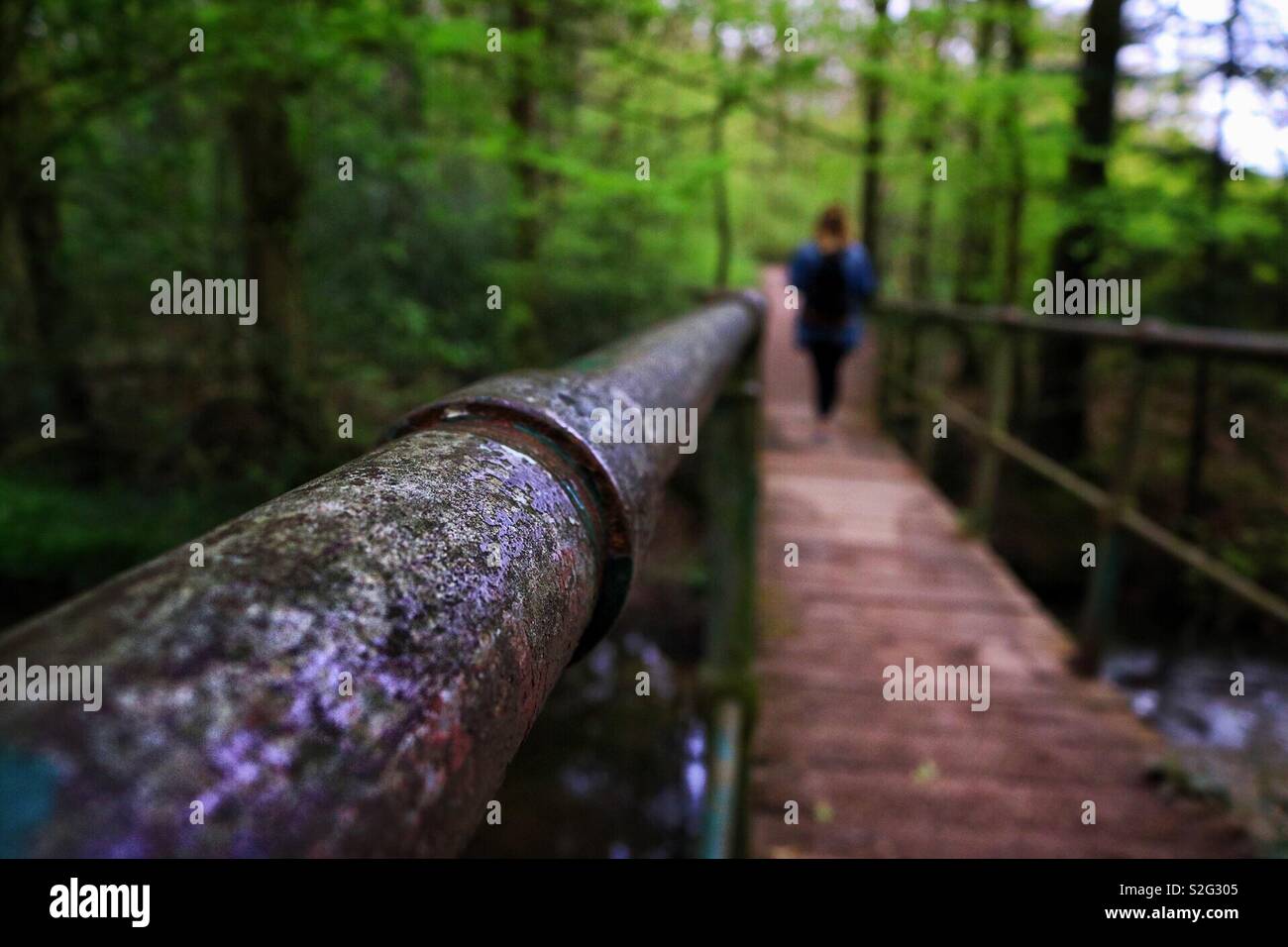 Girl walking over bridge in the woods Stock Photo - Alamy