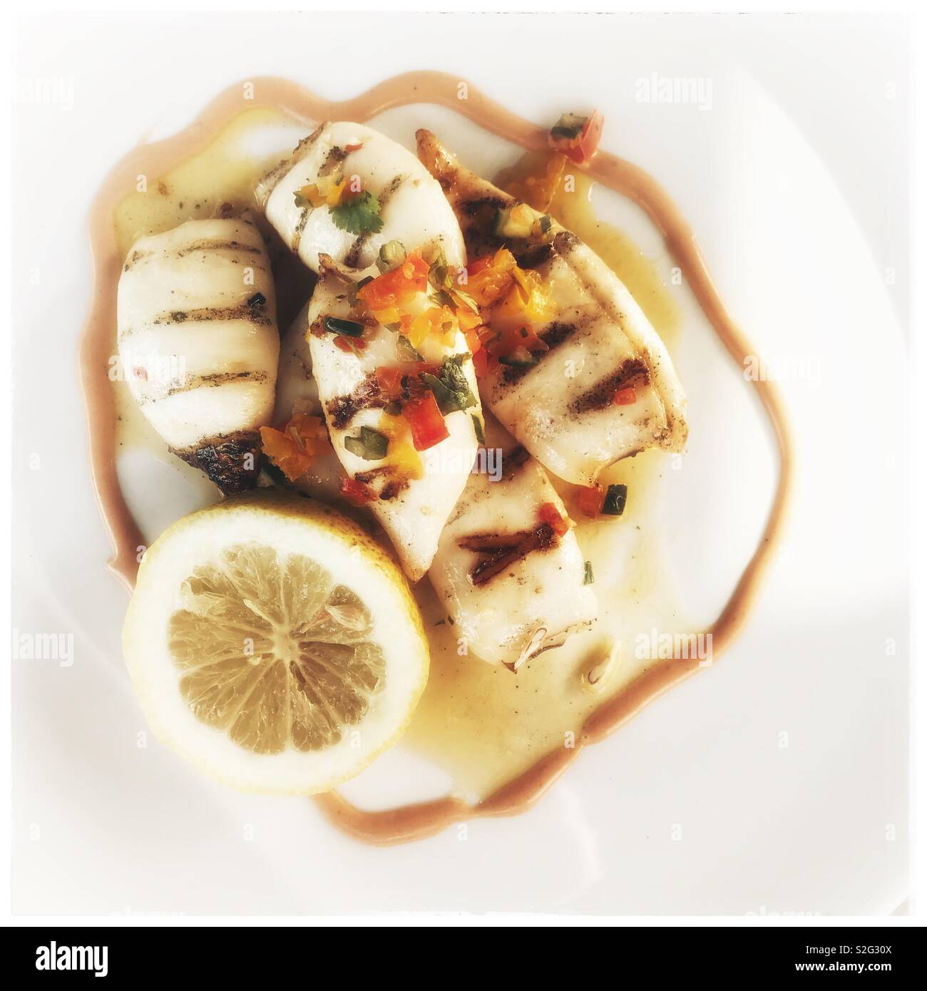 Calamari tubes starter Stock Photo - Alamy