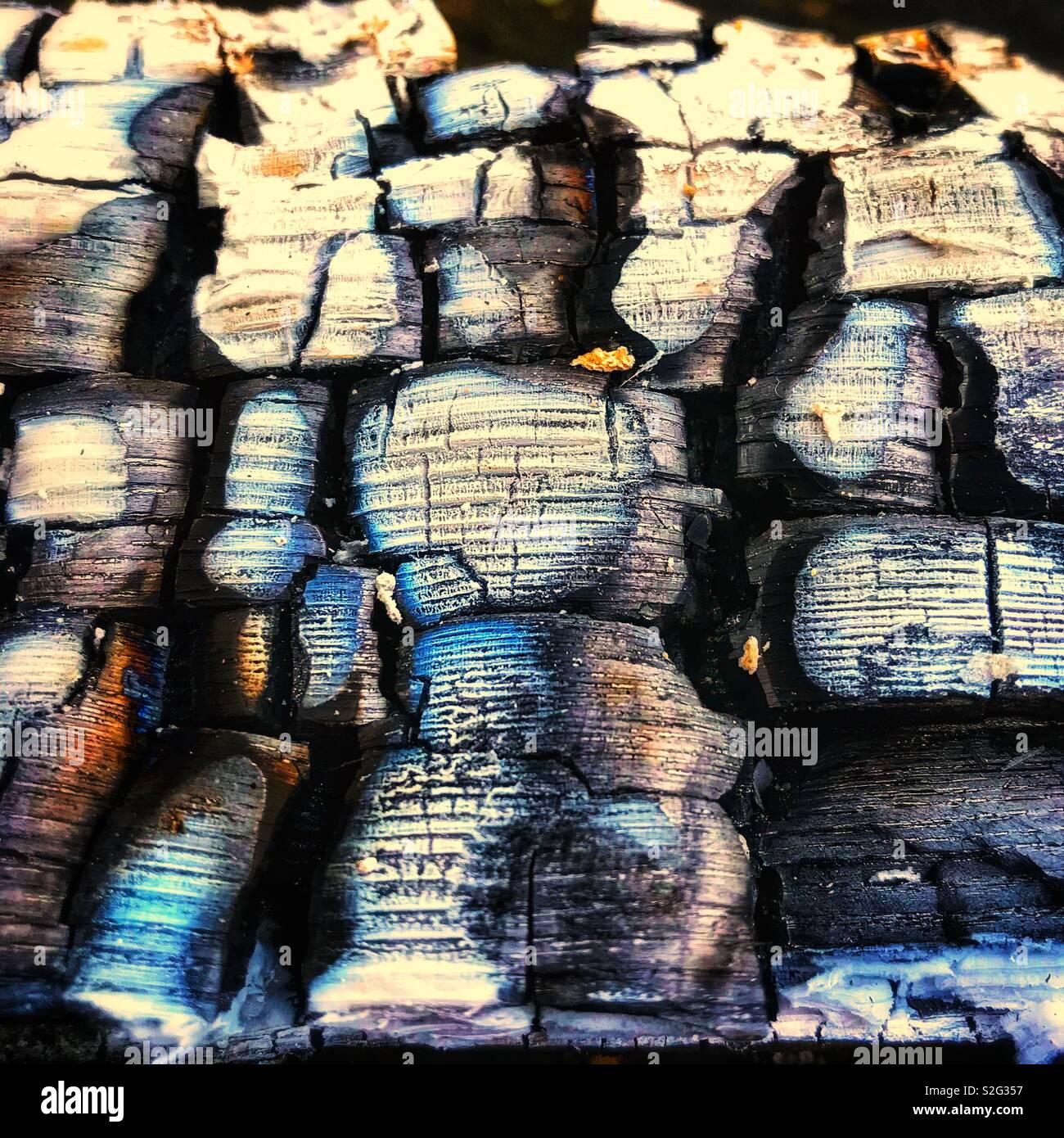 Burnt colours hi-res stock photography and images - Alamy