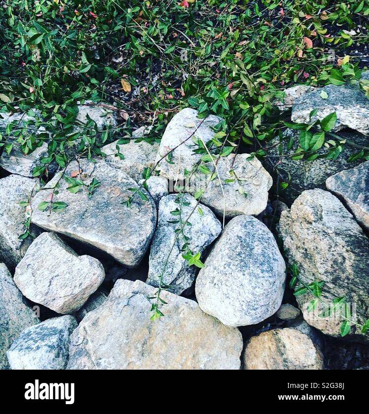 Some cute rocks Stock Photo - Alamy