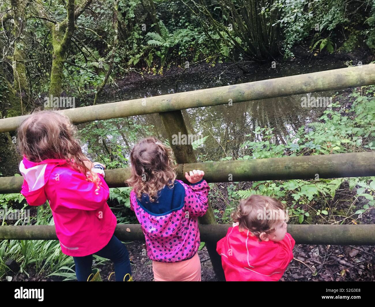 3 peas in a pod! Stock Photo - Alamy