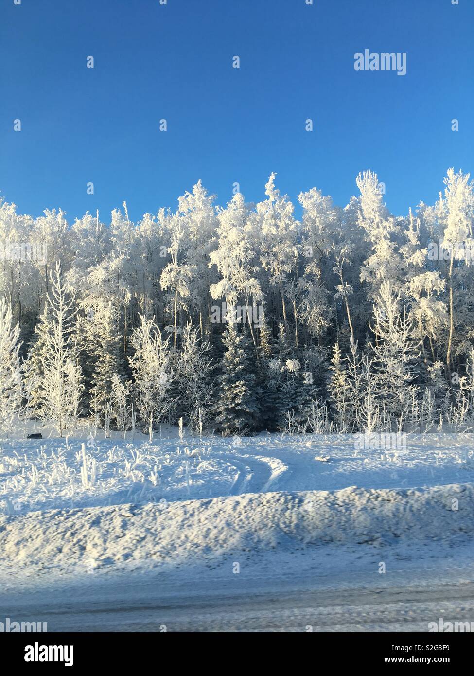 Alaska hoar frost hi-res stock photography and images - Alamy