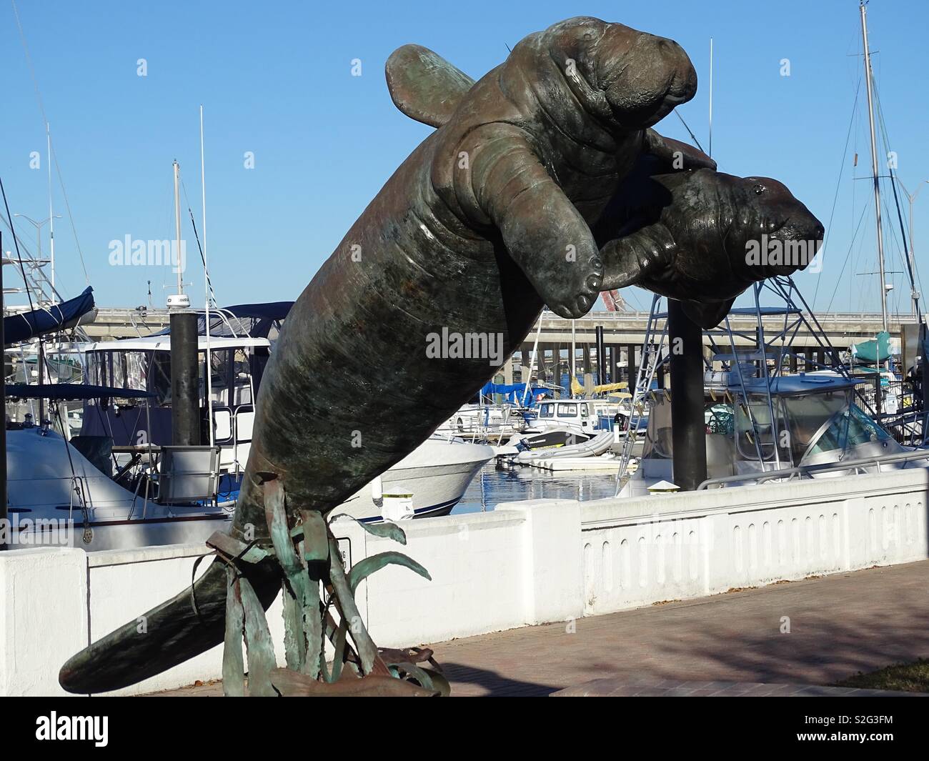 Brass Manatee Statue Stock Photo - Alamy
