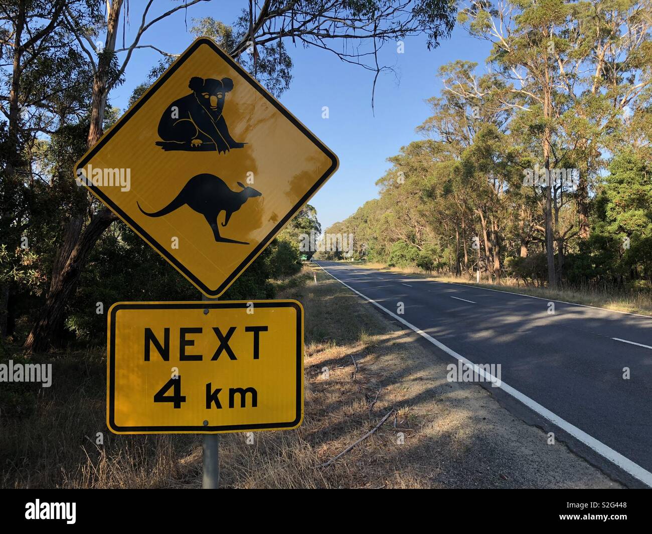 Koala road sign hi-res stock photography and images - Alamy
