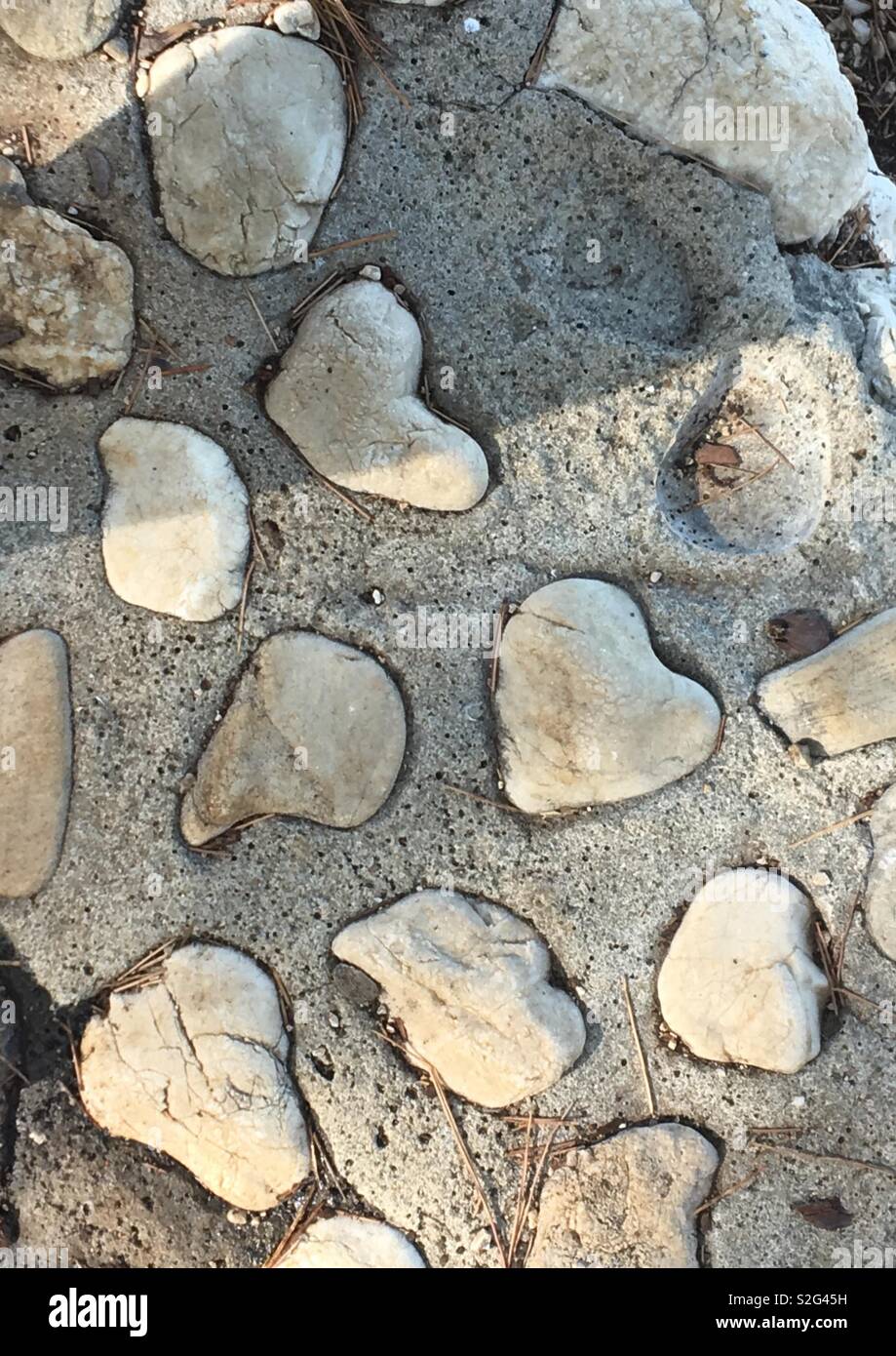 Rocks in cement walkway, find some heart shaped rocks Stock Photo - Alamy