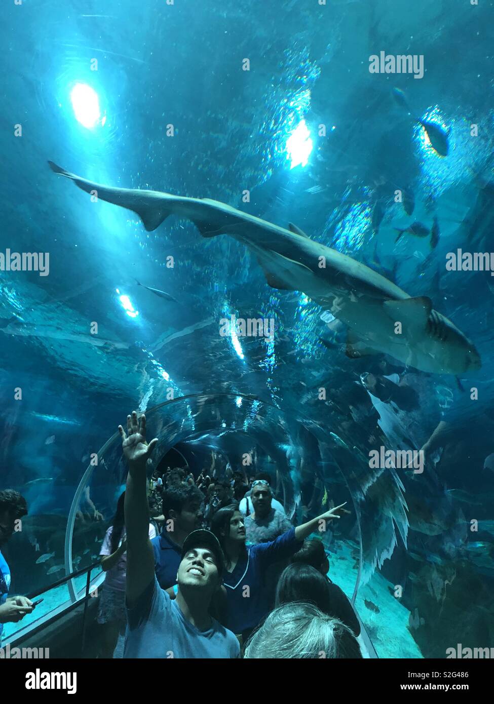Rio sea aquarium hi-res stock photography and images - Alamy