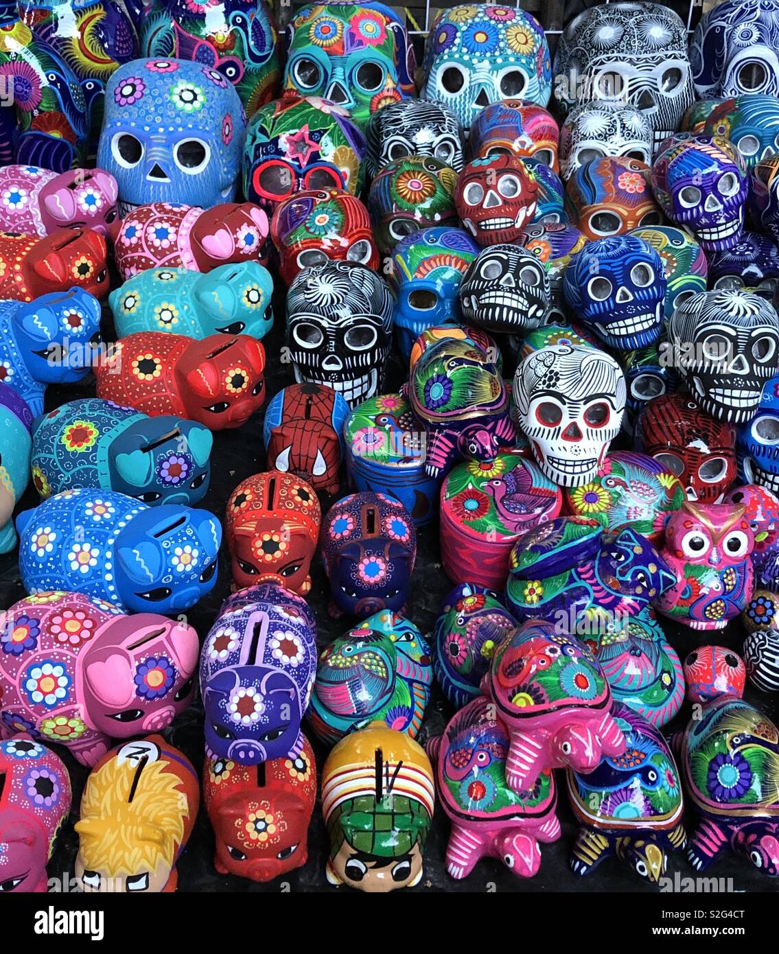 Colorful pigs hi-res stock photography and images - Alamy