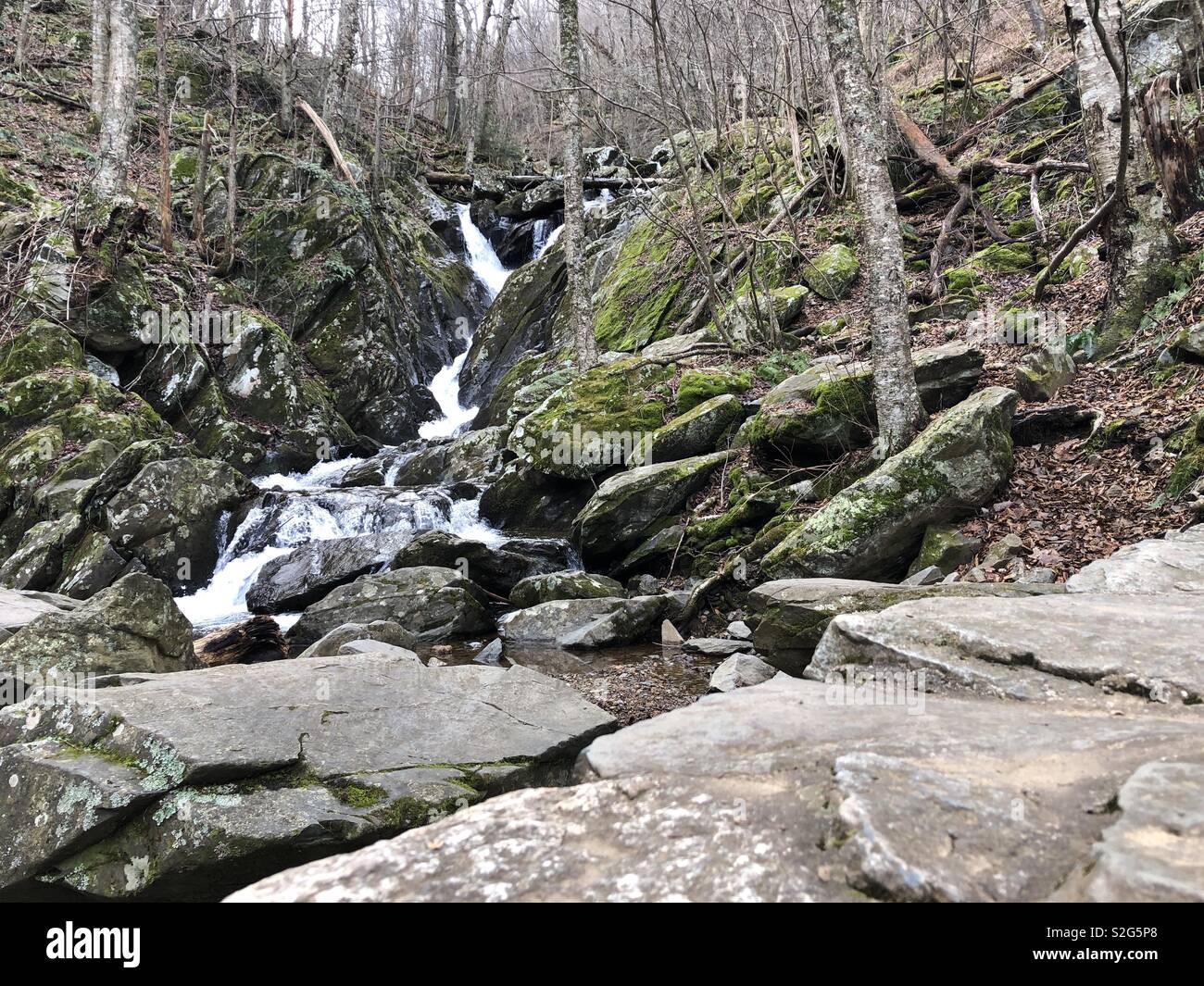 Rose river hi-res stock photography and images - Alamy
