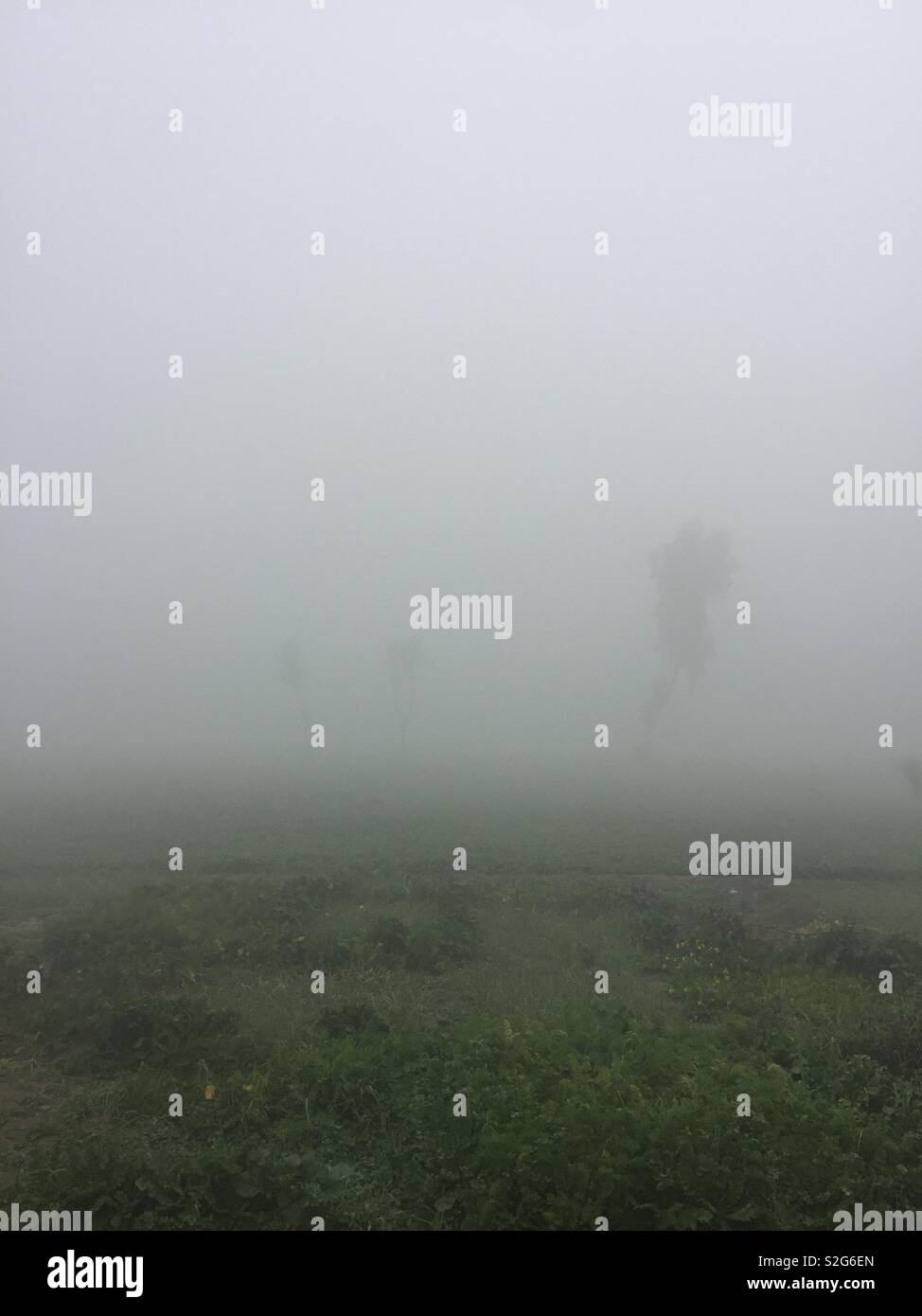 Welcome to punjab pakistan Happy fog day Stock Photo - Alamy