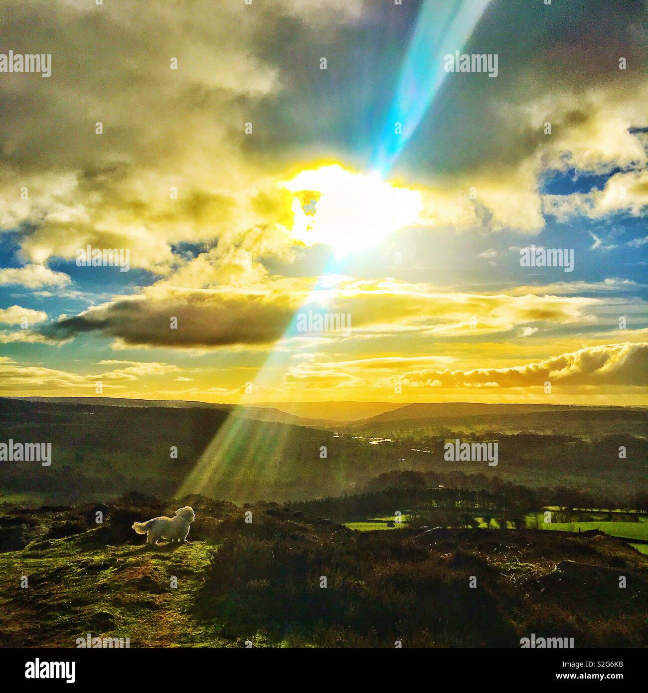 Looking into the light hi-res stock photography and images - Alamy