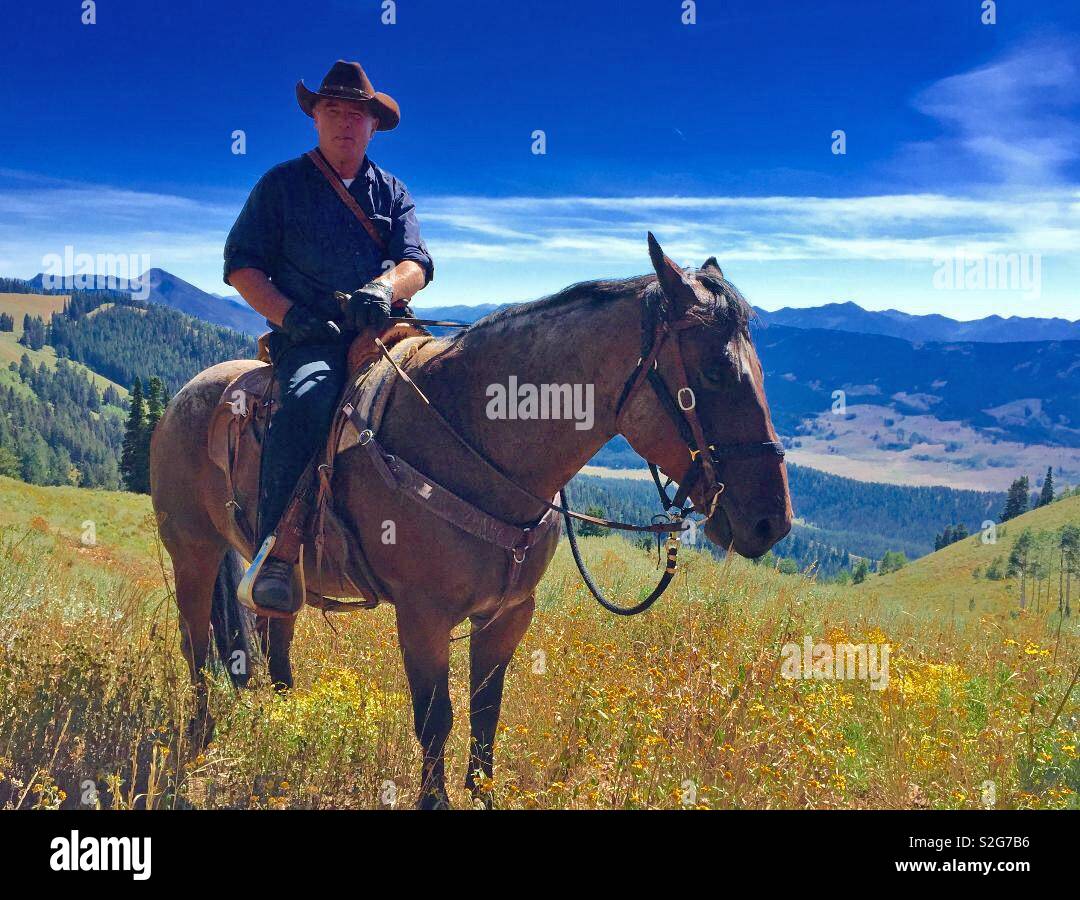 Wyoming rancher in the grand Teton mountains on his horse Stock Photo ...