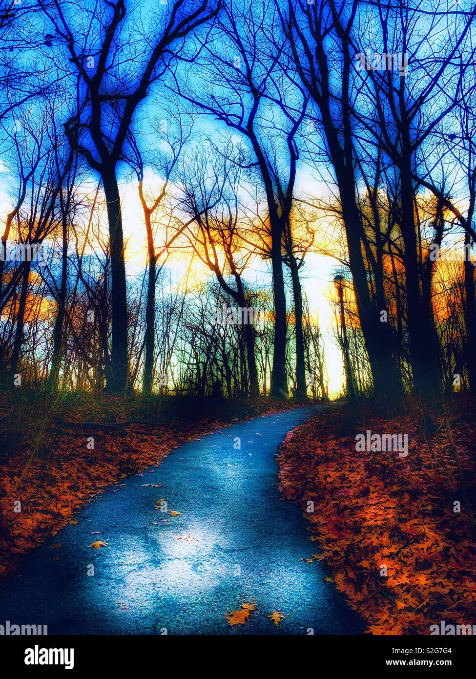 Wooded country road hi-res stock photography and images - Alamy