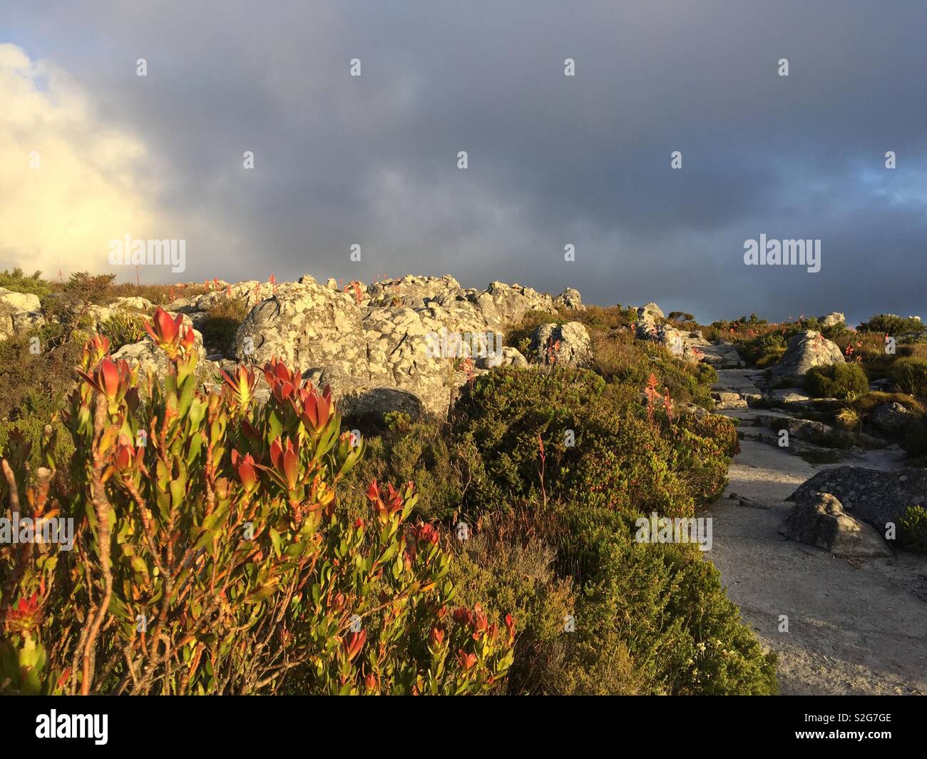 Red lining hi-res stock photography and images - Alamy