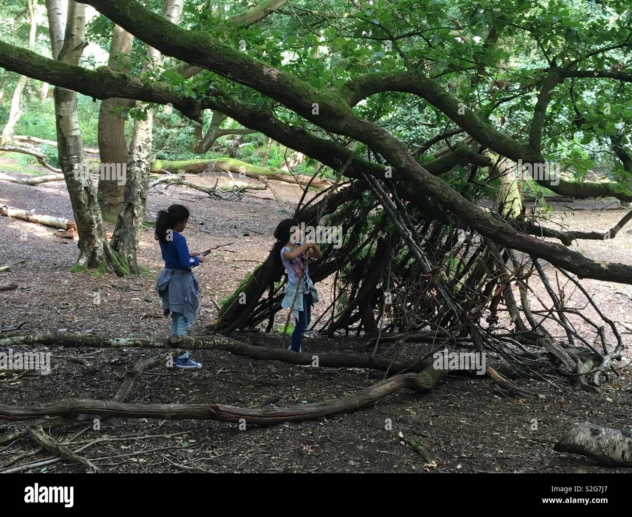 Children making a den in the woods hi-res stock photography and images ...