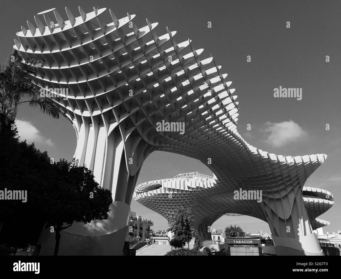 Parametric architecture hi-res stock photography and images - Alamy