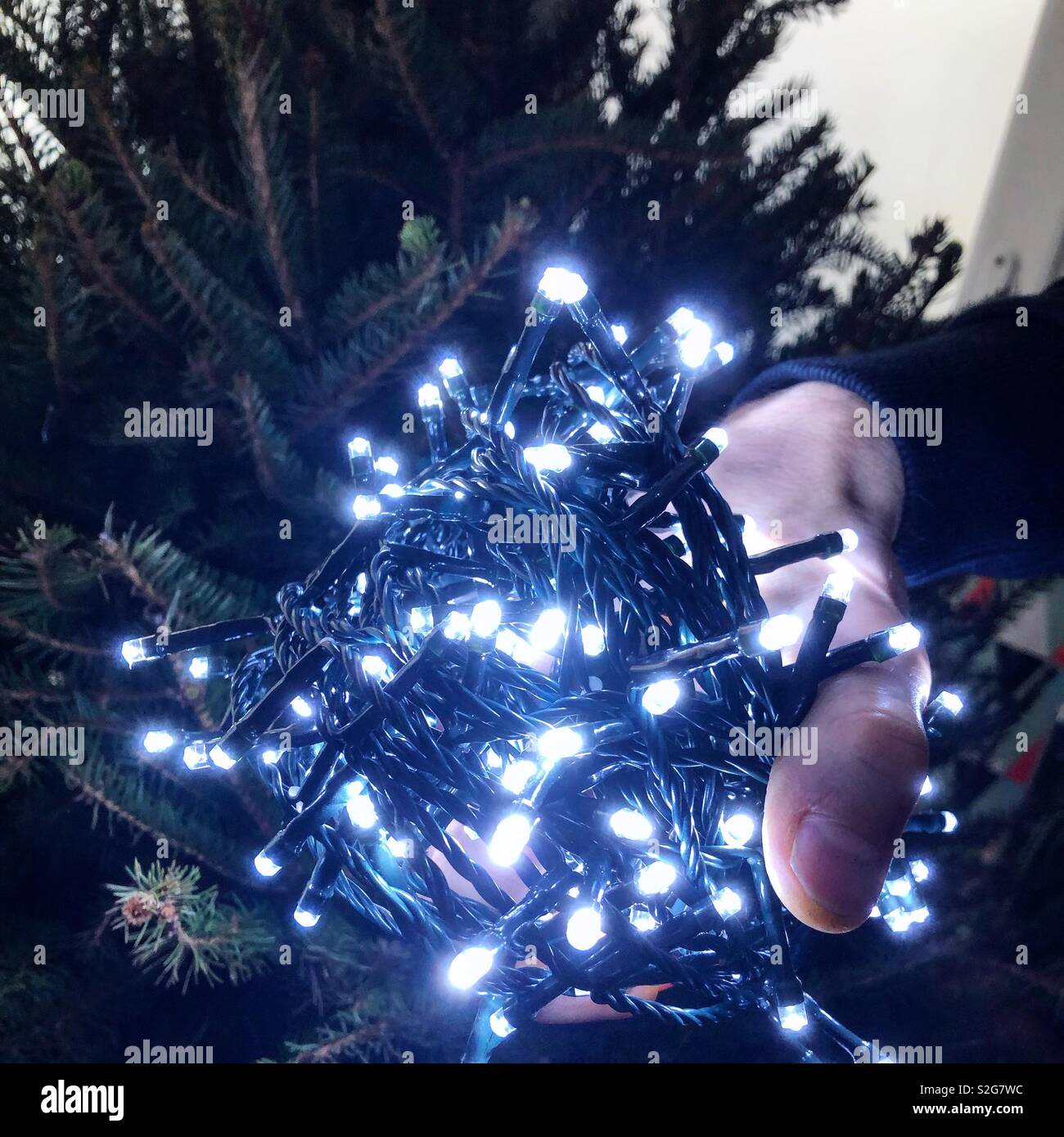 Rolled back hi-res stock photography and images - Alamy