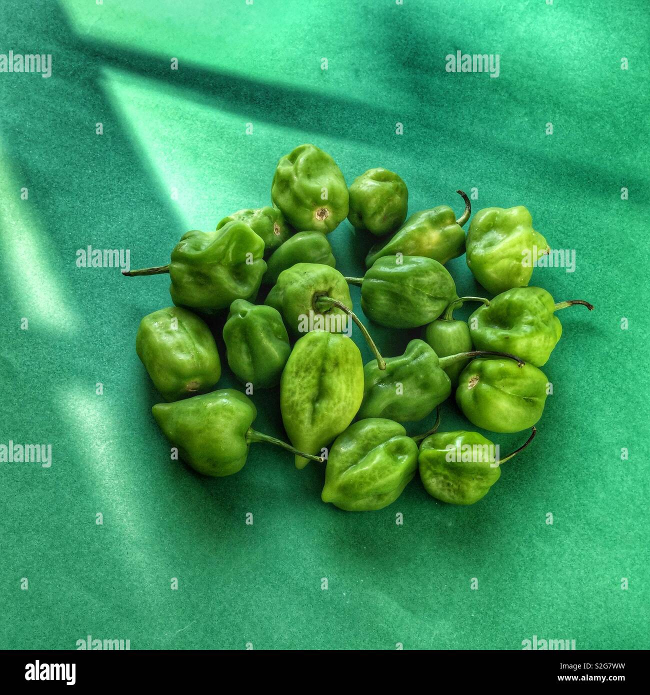 Habanero pepper hi-res stock photography and images - Alamy