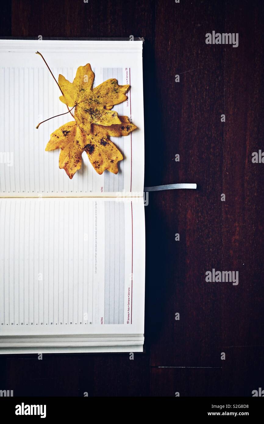Reading leaves hi-res stock photography and images - Alamy