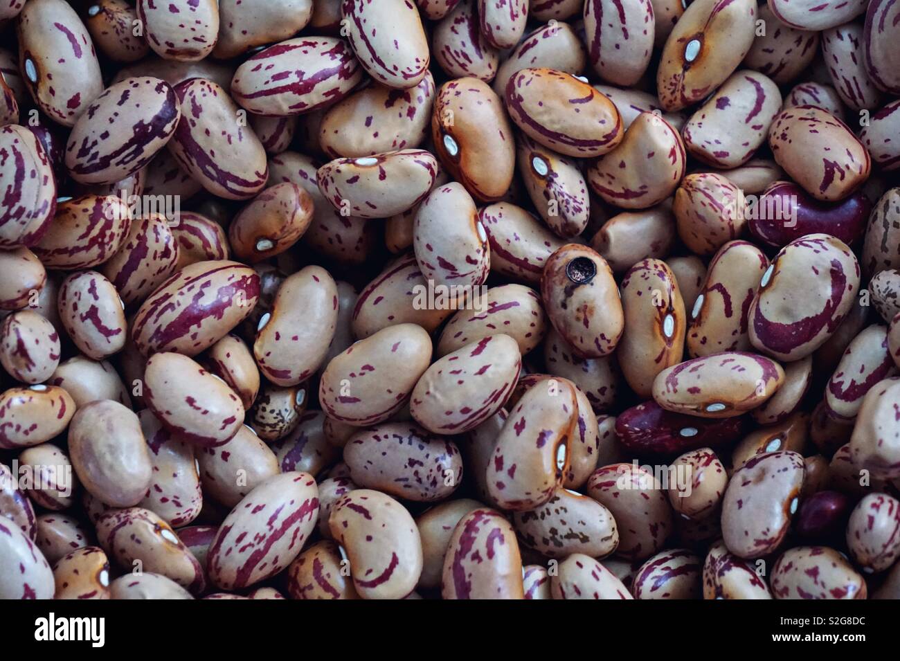 Food with texture hi-res stock photography and images - Alamy