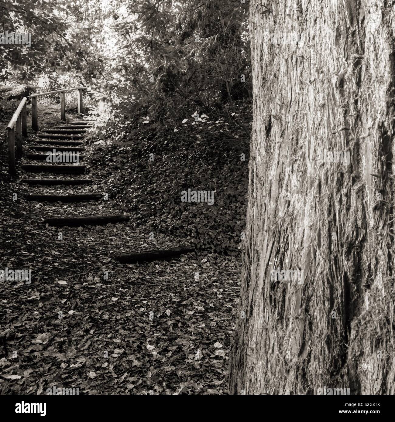 Hidden path hi-res stock photography and images - Alamy