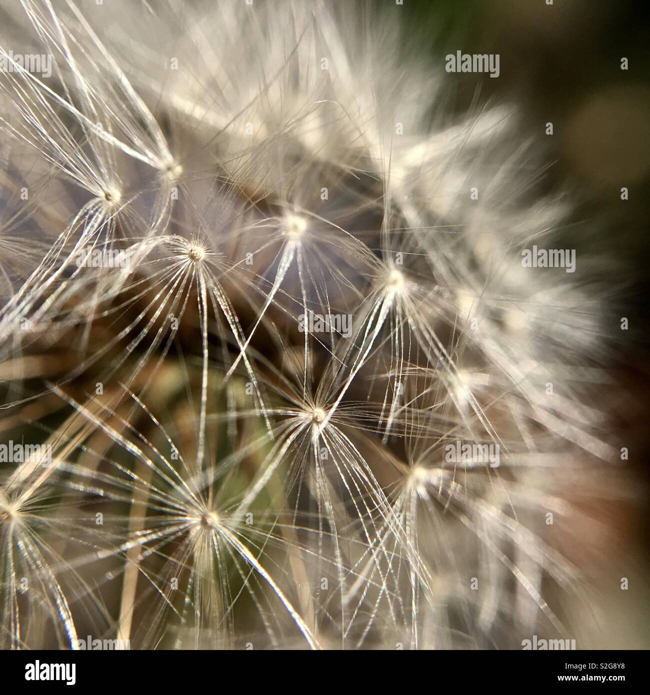 Really up close Stock Photo - Alamy Really up close Stock Photo - Alamy
