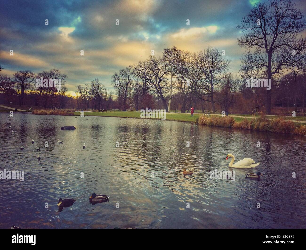 Stromovka Park High Resolution Stock Photography and Images - Alamy