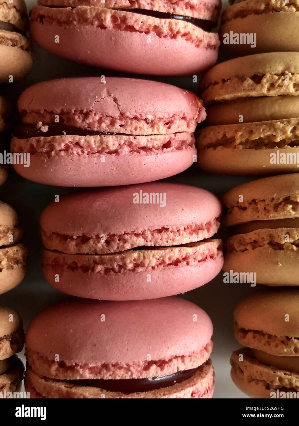 Rows of pastel macarons Stock Photo - Alamy