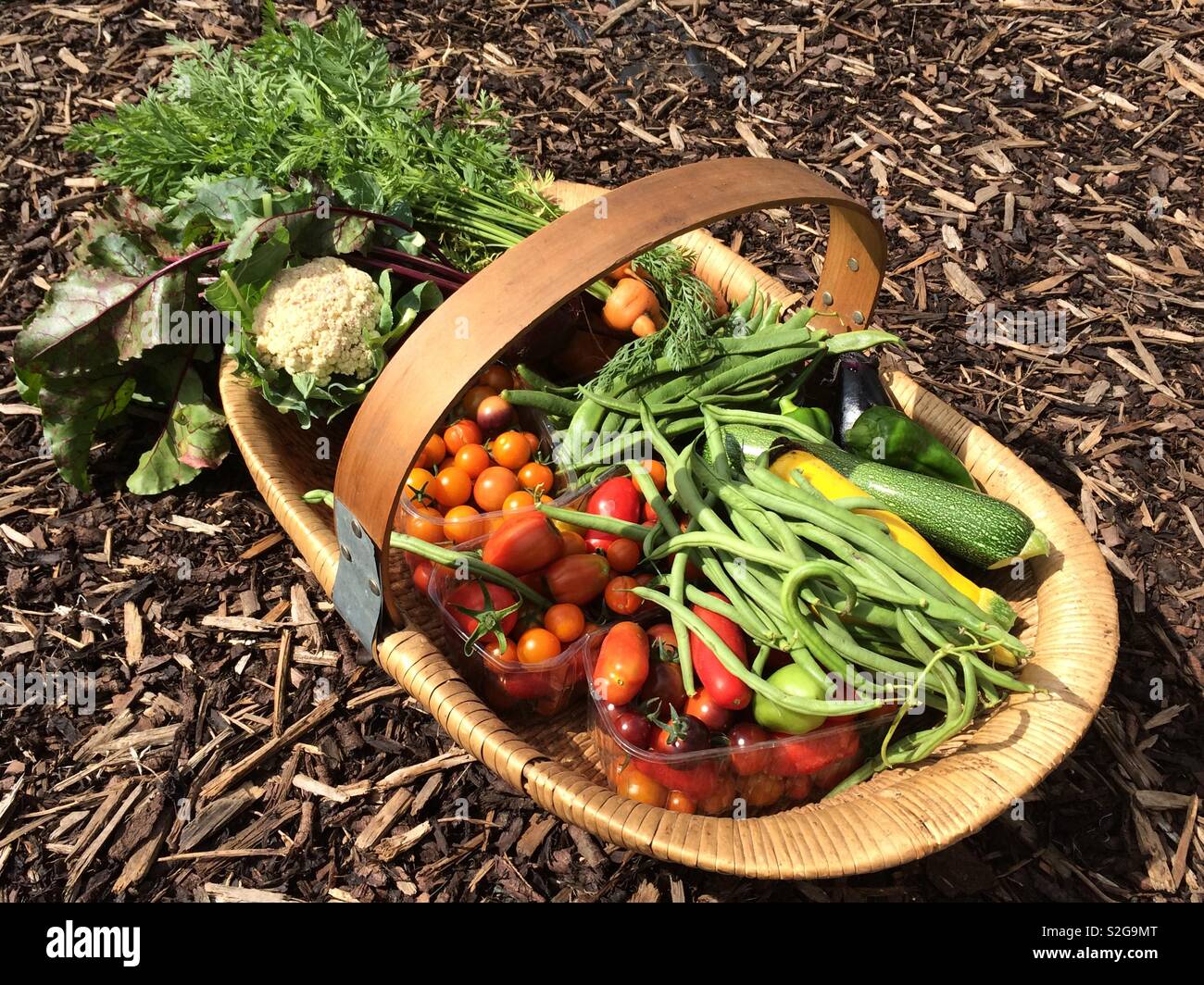 Allotment vegetables hi-res stock photography and images - Alamy